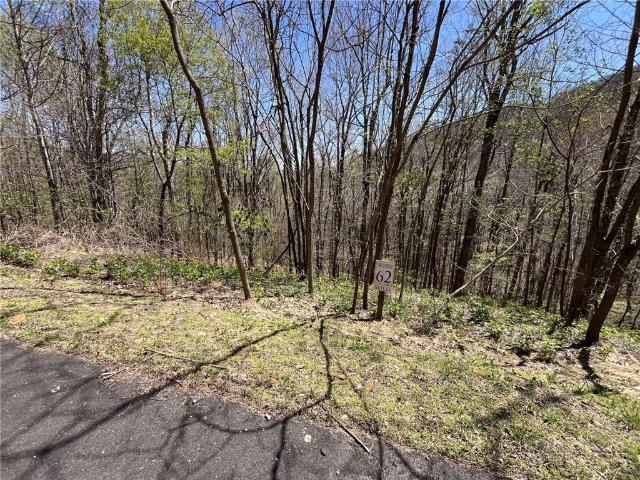 Lot 62 Bob Timberlake Drive