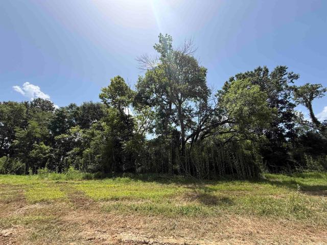 Lot 62 Down River