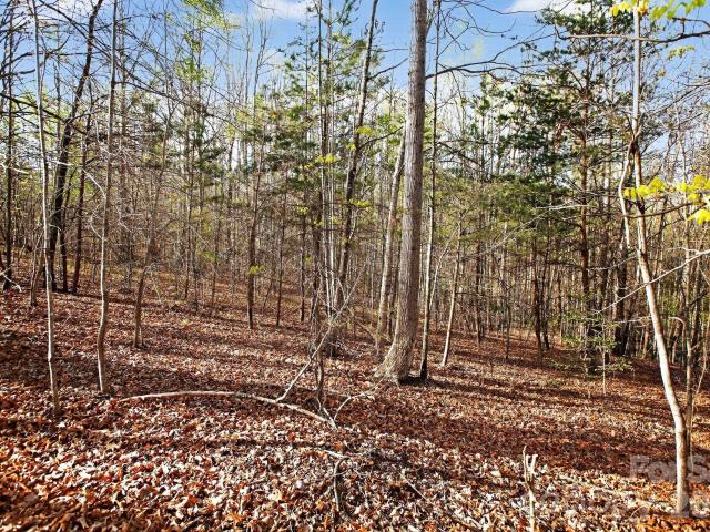 Lot 62 Dirksen Avenue