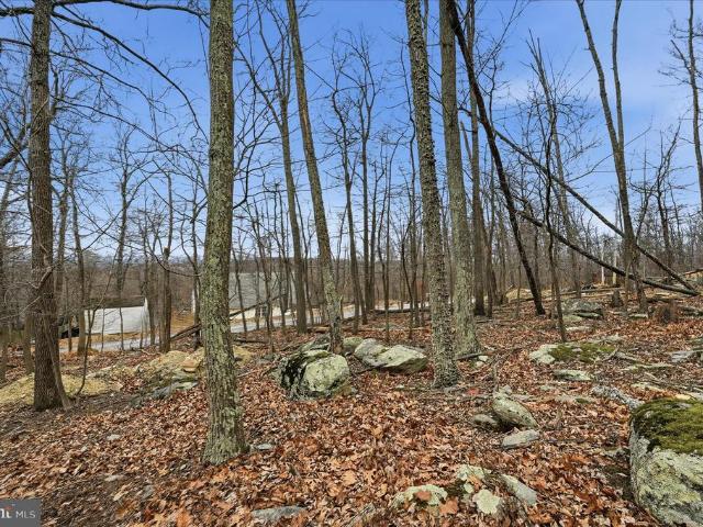 Lot #62 Fawn Drive
