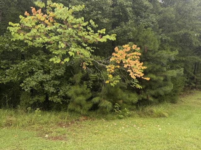 Lot 62 Harbor View Drive Lot 62