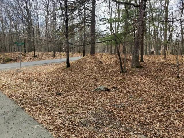 Lot 62, SUMMIT PL, Hawley, PA 18428 | MLS #PM 140533 | Compass