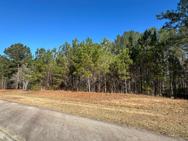 Lot 62 Wisteria Drive # 62
