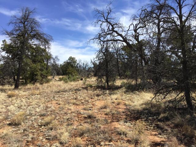 Lot 636 A Edgewood Drive
