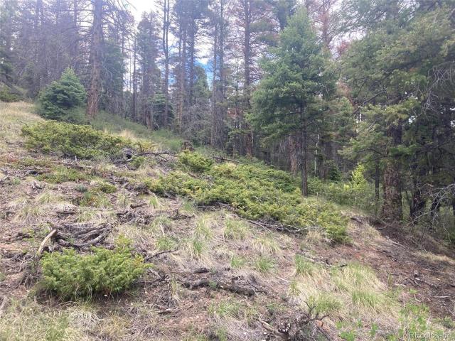 LOT 6328 Jacquez Road