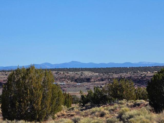 Lot 632 Lazy South Ranch Road