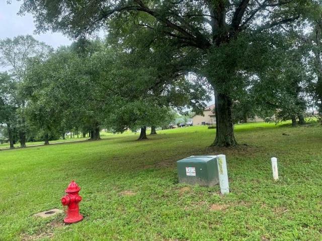 Lot 63 Birdie Drive