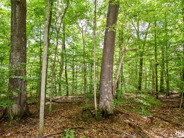 Lot 63 N Viking Ridge, Bloomington, IN 47408 | MLS #202602