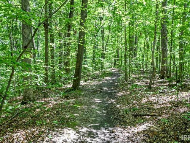 Lot 63 N Viking Ridge Road
