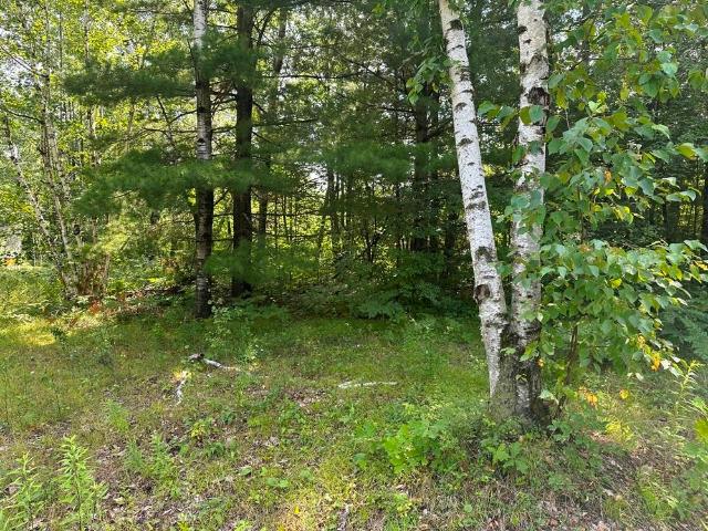 Lot 63 Popple Lane