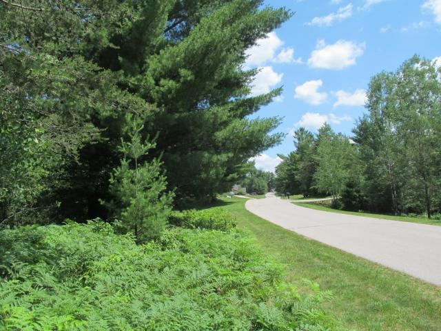 Lot 63 White Pine Drive # Lot: 63