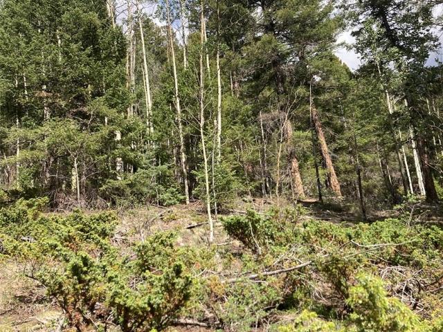 LOT 6461 Jacquez Road
