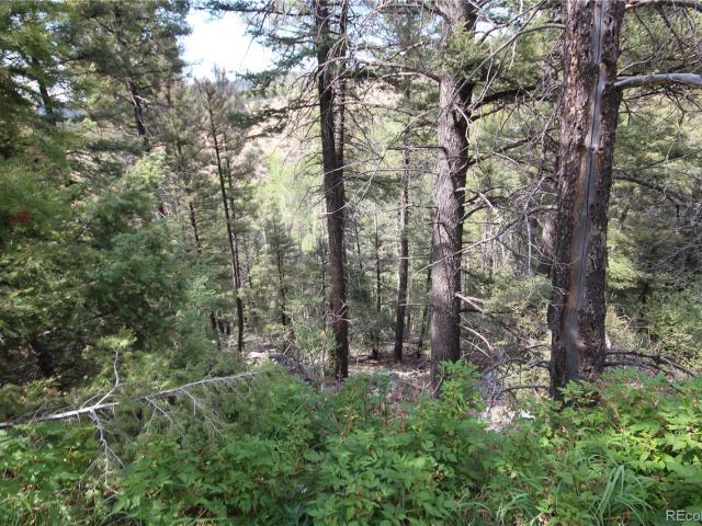 LOT 6401 Ryland Road