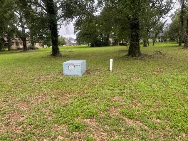 Lot 64 Birdie Dr, Hempstead, TX 77445 | MLS #42182