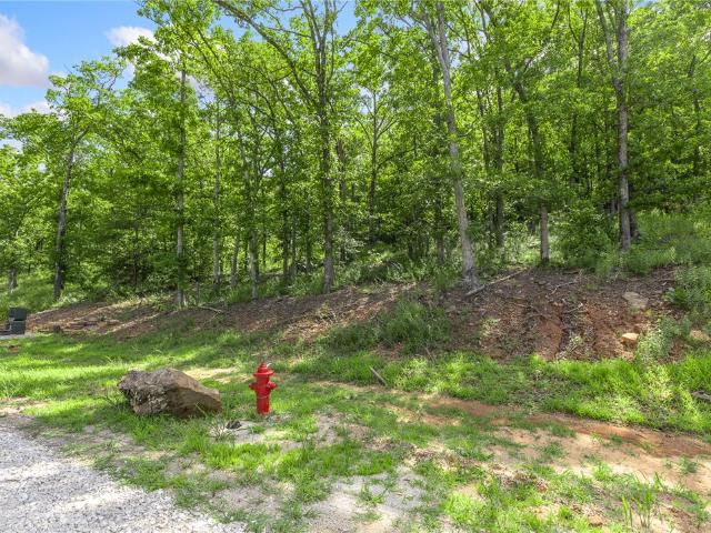 Lot 64 Restore Ridge