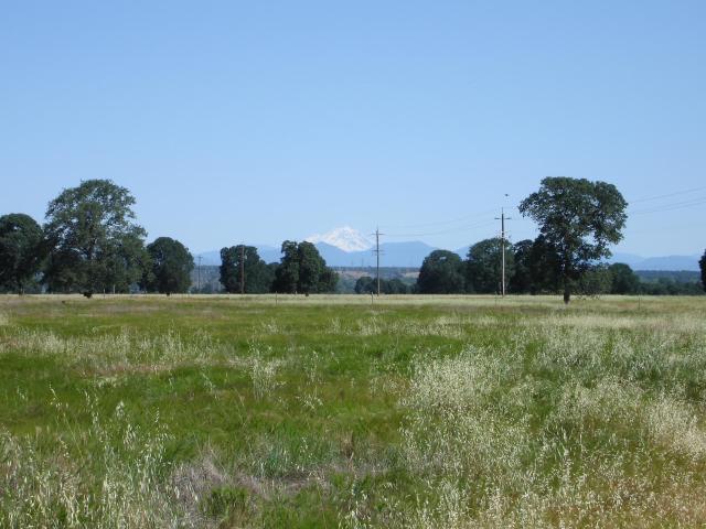 LOT 64 River Downs Way