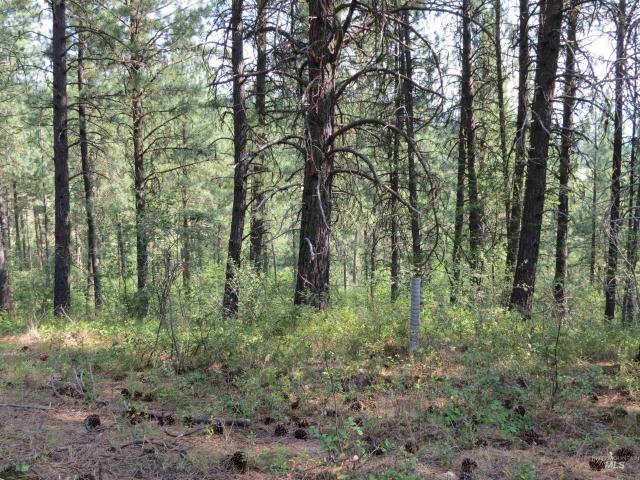 Lot 64 White Pine Dr