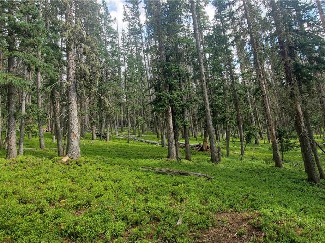 Lot 6542 Schlueter Road