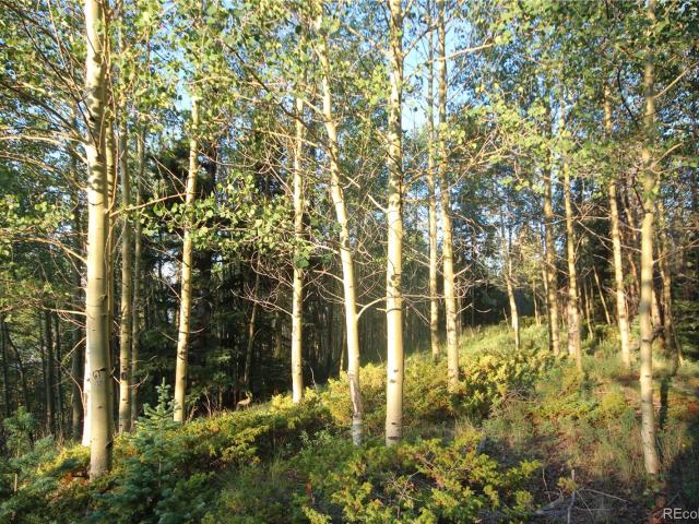 LOT 6588 Forbes Road