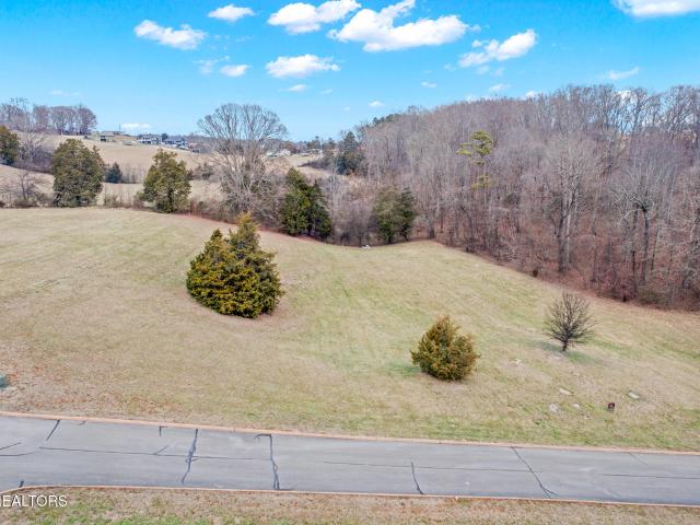 Lot 65 Cow Poke Lane
