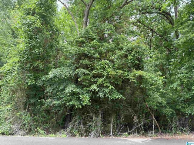 Lot 65 ashborough drive # 65