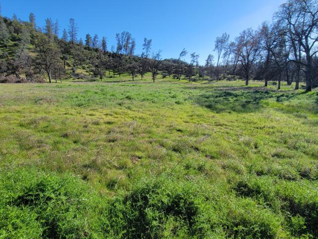 Lot 65 Gogo Rd, Igo, CA 96047 | MLS #26 1485 | Compass
