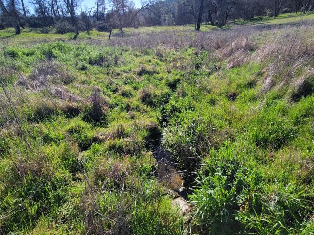Lot 65 Gogo Road