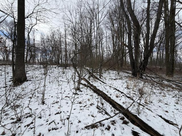 LOT 65 Hosford Drive
