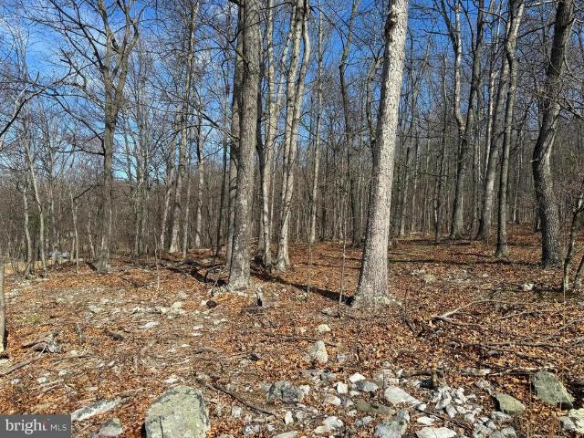 Lot 65 High Mountain View Road