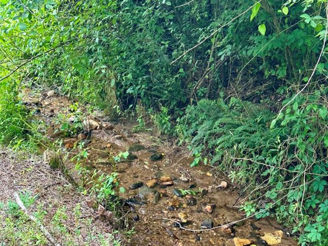 Lot 65 Mountain Harbour, Hayesville, NC 28904 | MLS #405446