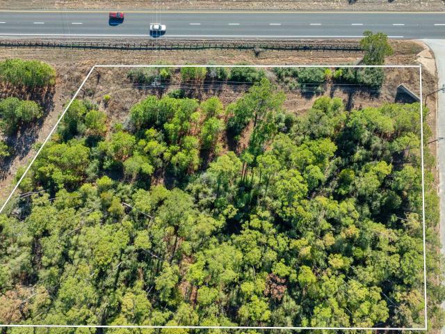 Lot 65 State Highway 21