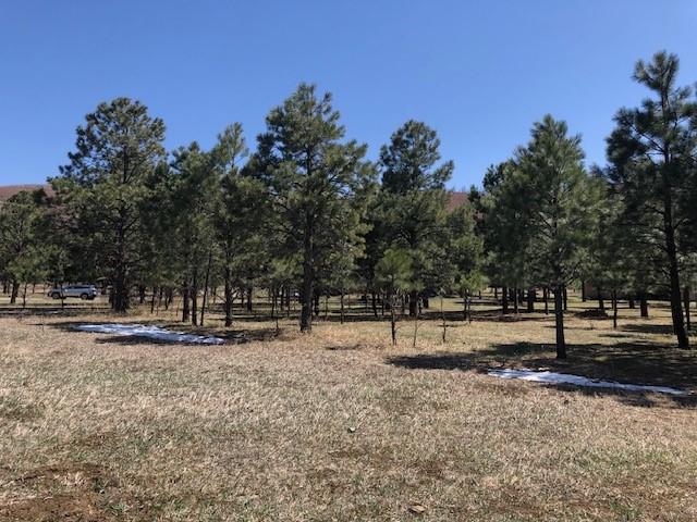 Lot 65 Patron Road