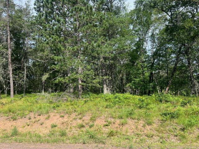 Lot 65 Three Mile Rd, Danbury, WI 54830 | MLS #6565