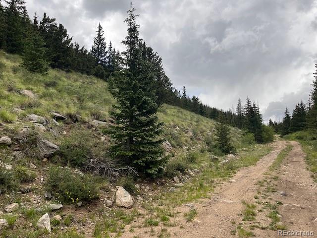 Lot 6644 Phillips Road