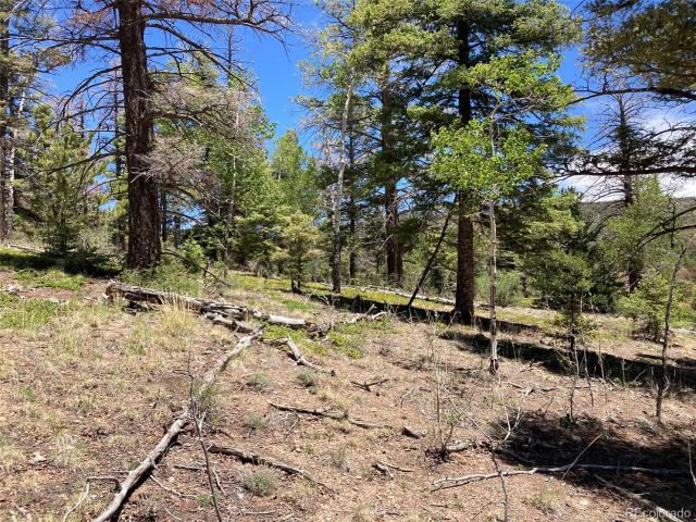 LOT 6617 Forbes