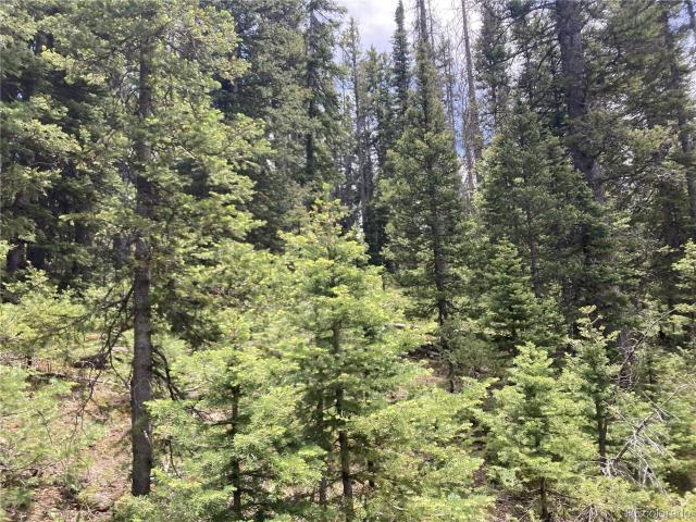 Lot 6614 Starkweather Road