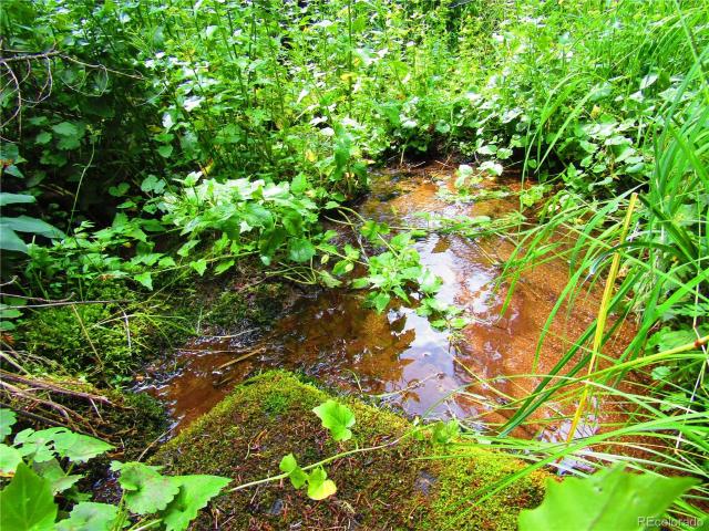 LOT 6615 Forbes Road