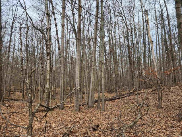Lot 662 Laurel Lane