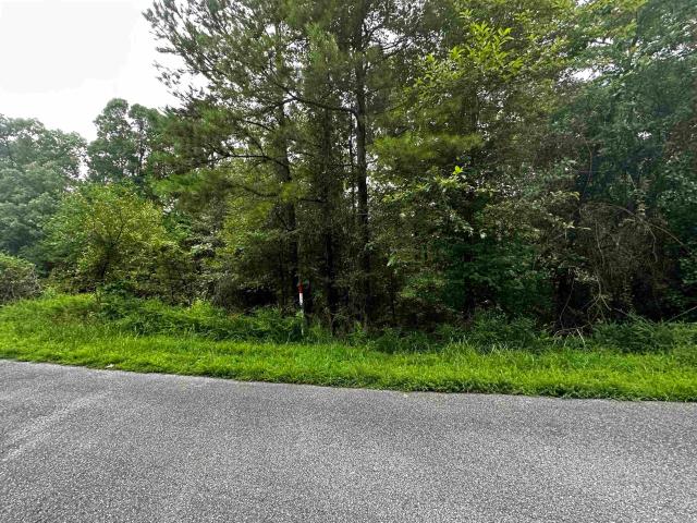 Lot 66 Cobalt Bay Drive