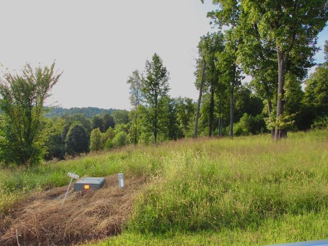 Lot 66 Kelsey Joe Lane