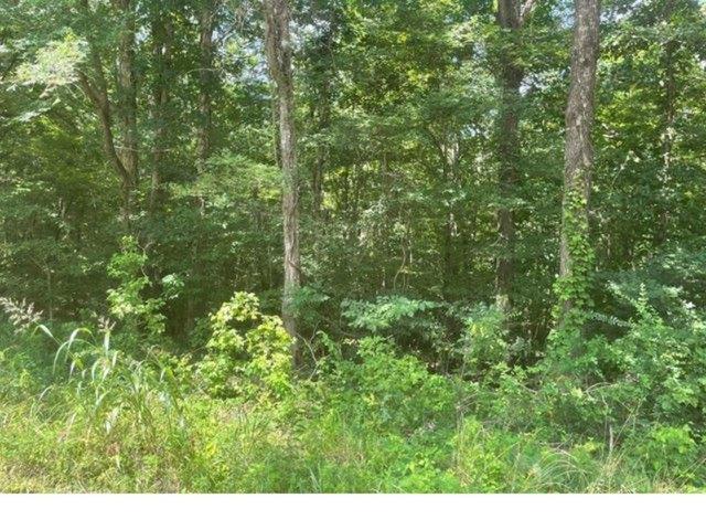Magnolia Cir Lot 66, Sarah, MS 38665