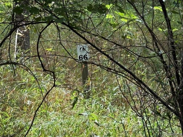 Lot 66 Preserve Drive