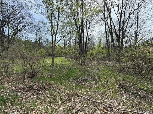 Lot 66 Preserve Drive