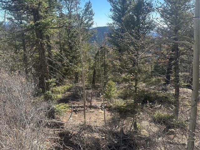 Lot 6742 Starkweather Road