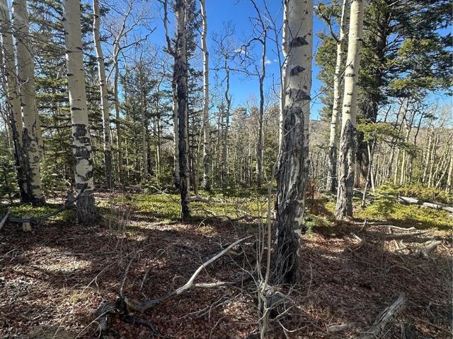 Lot 6744 Starkweather Road