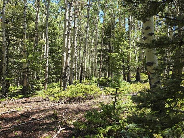 Lot 6748 Starkweather Road