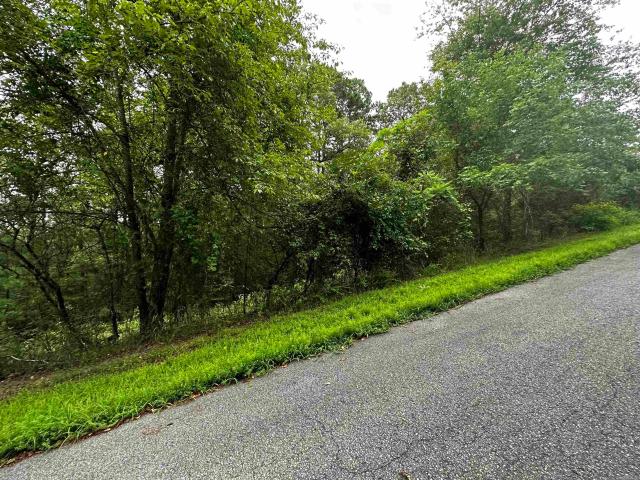 Lot 67 Cobalt Bay Drive