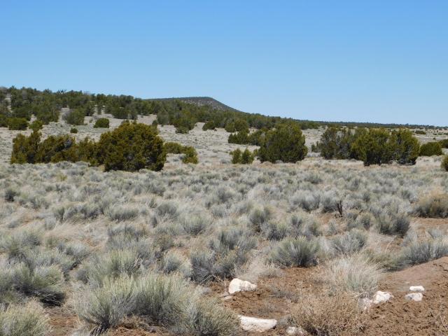 Lot 67 Bronco Boulevard