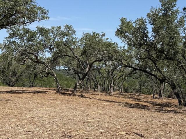 LOT 67 High Country