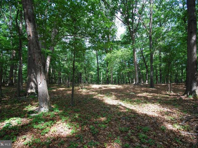 Lot 67 Mill Mountain Road